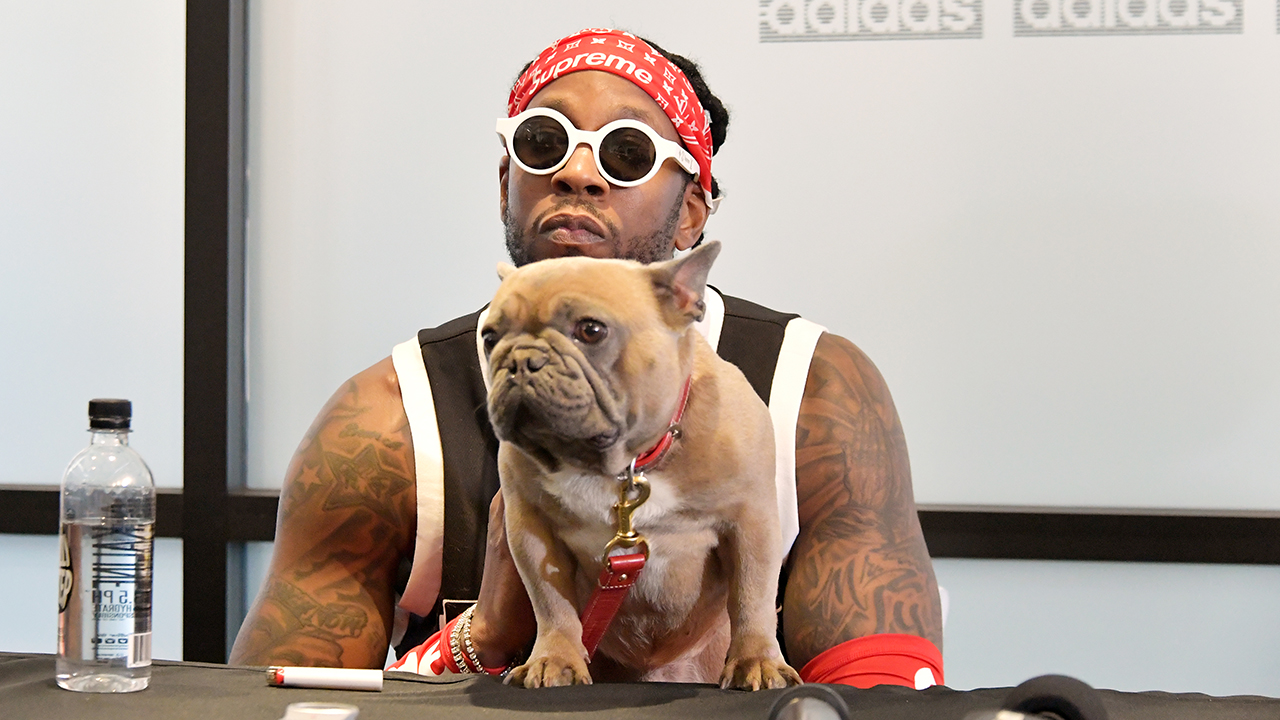 Two chains dog store